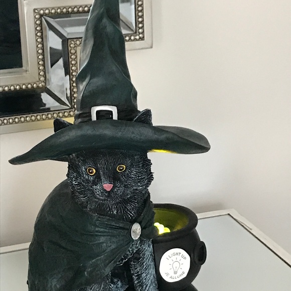 ADORABLE HALLOWEEN BLACK CAT WITH WITCH HAT & CAULDRON LIGHTS UP ...